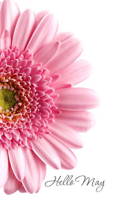 Copy of Pink Simple Hello May Instagram Story | PosterMyWall