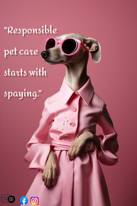Copy of Pink Spay Day Template Poster | PosterMyWall