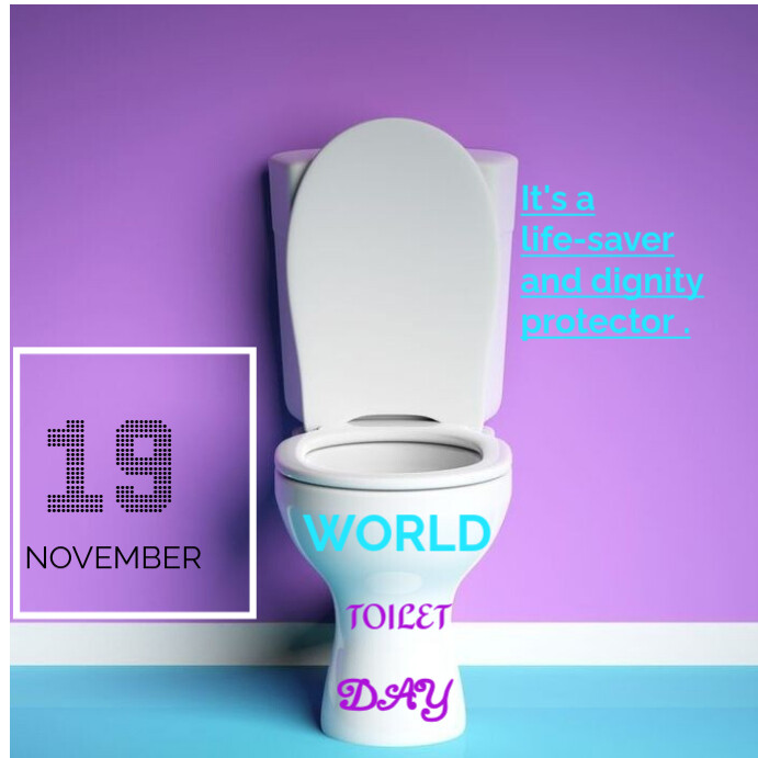 Pink Typographic Blue World Toilet Day Instagram Post Template ...