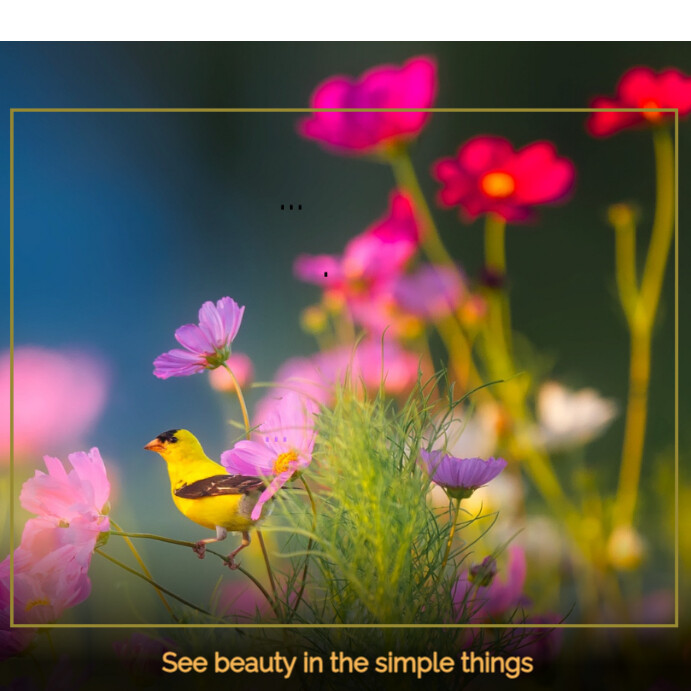 Pink Yellow Blue Bold Nature Photo Spring Season Message Post Template ...