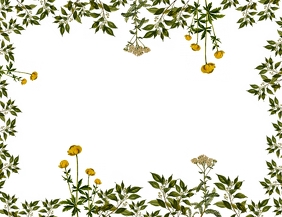 Plant Border Template | PosterMyWall