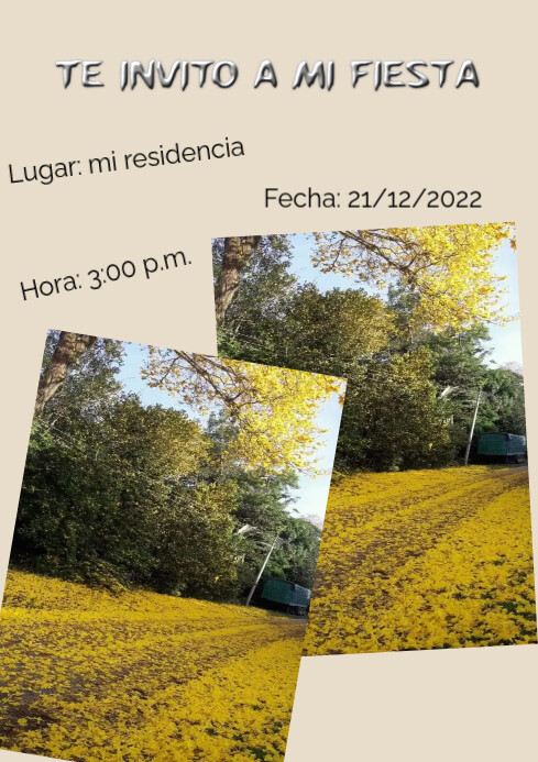 Plantilla fiesta Template | PosterMyWall