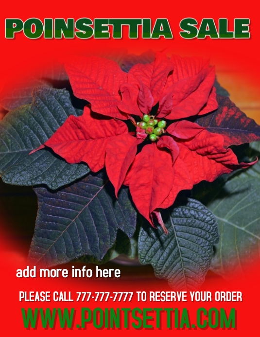 POINSETTIA SALE CHRISTMAS RETAIL Template | PosterMyWall