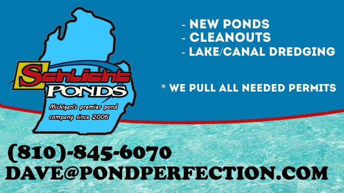 Plantilla de pond flyer | PosterMyWall