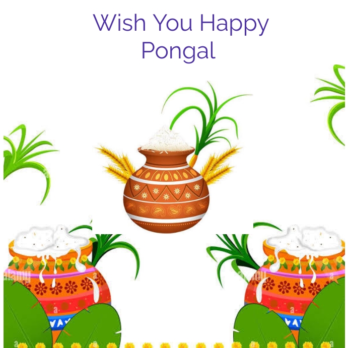 Pongal Template | PosterMyWall
