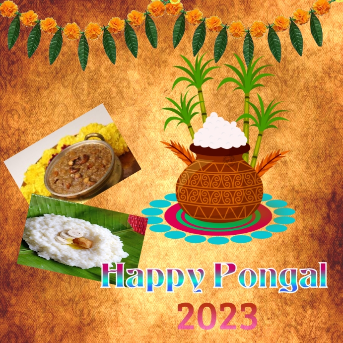 PONGAL Template | PosterMyWall
