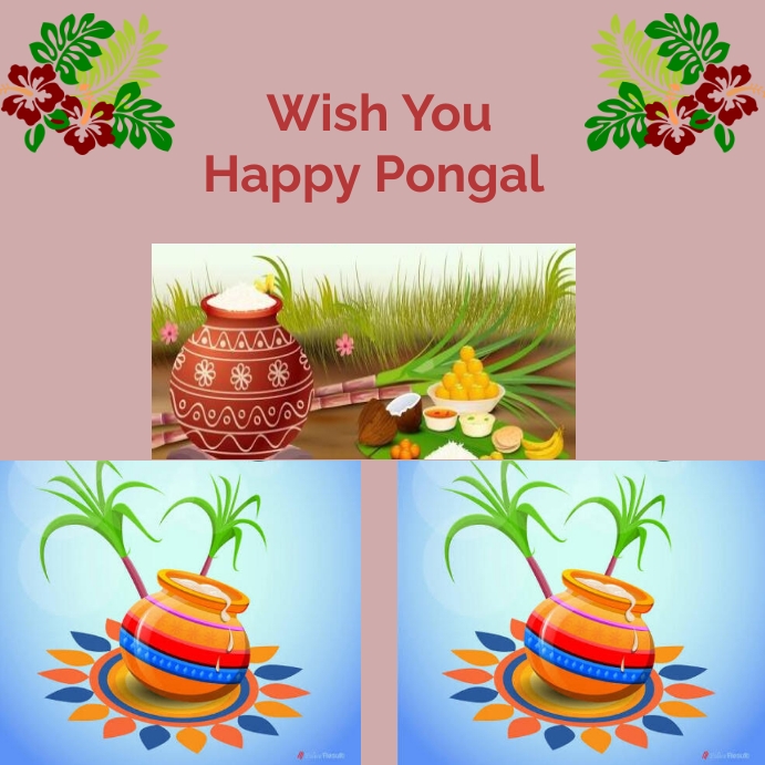 Pongal Template | PosterMyWall