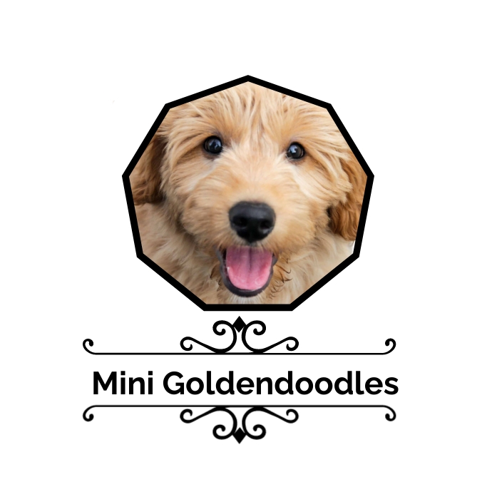 Poodle dog logo Template | PosterMyWall