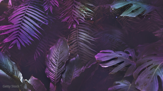 POSTER Template | PosterMyWall