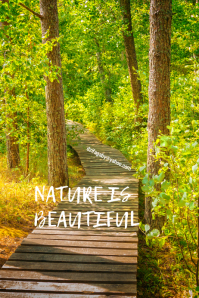 Poster of Forest Template | PosterMyWall