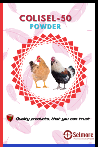 Poultry Template | PosterMyWall