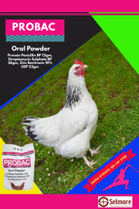 60+ poultry Customizable Design Templates | PosterMyWall