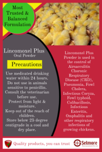 Poultry Template | PosterMyWall