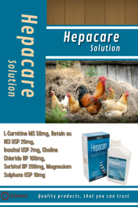 60+ poultry Customizable Design Templates | PosterMyWall