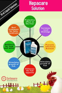 60+ poultry Customizable Design Templates | PosterMyWall