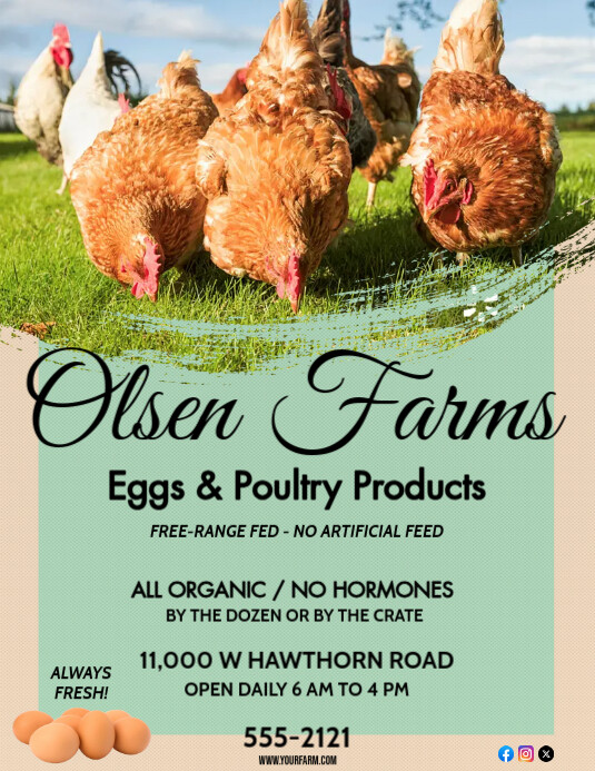 Copy of Poultry Farm Ad Flyer Flyer (us Letter) | PosterMyWall
