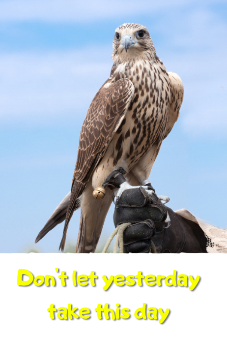 Present Template | PosterMyWall