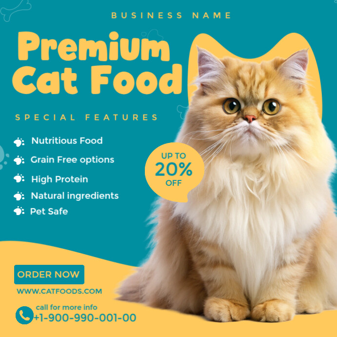 Copy of Professional Cat Food Flyer Instagram Post | PosterMyWall