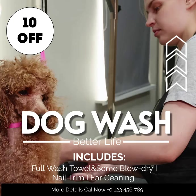 Professional Dog Wash Service Template | PosterMyWall