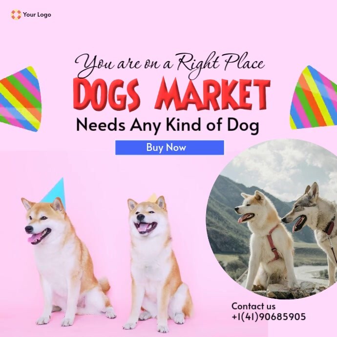 Professional Dogs Buy Sell Instagram Post video ads Facebook Template ...