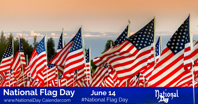 Copy of Professional National Flag Day Template Face | PosterMyWall