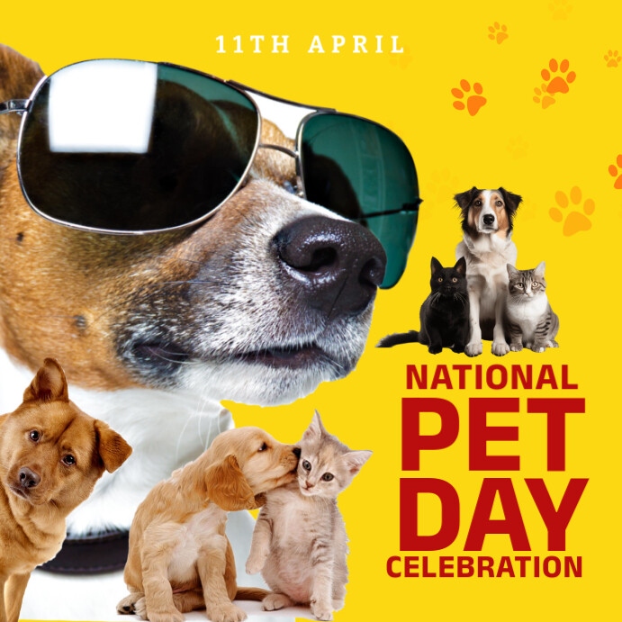 Plantilla de Professional National Pet Day Instagram Post | PosterMyWall