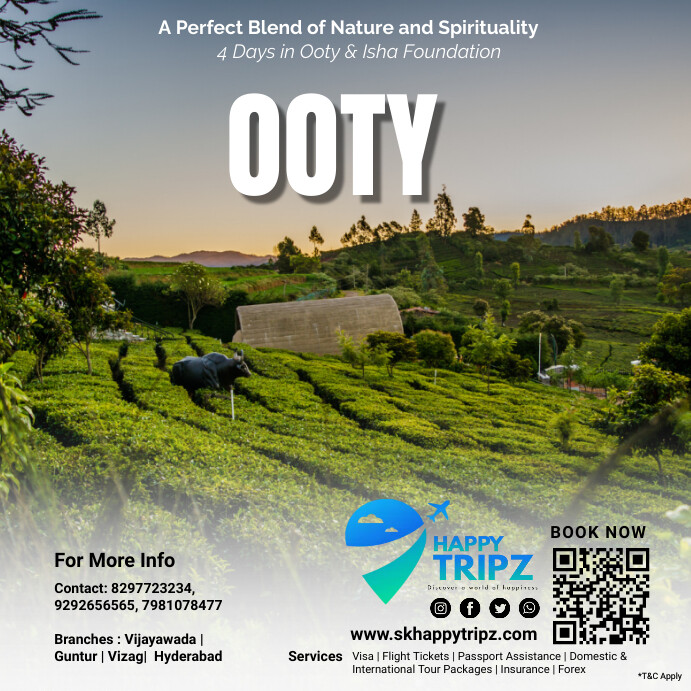 Copy of Professional Ooty Instagram Post | PosterMyWall