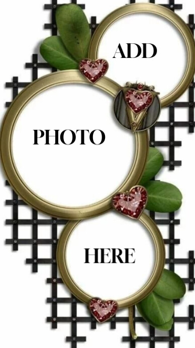 Modèle Professional Photo Frame Template Instagram Story | PosterMyWall