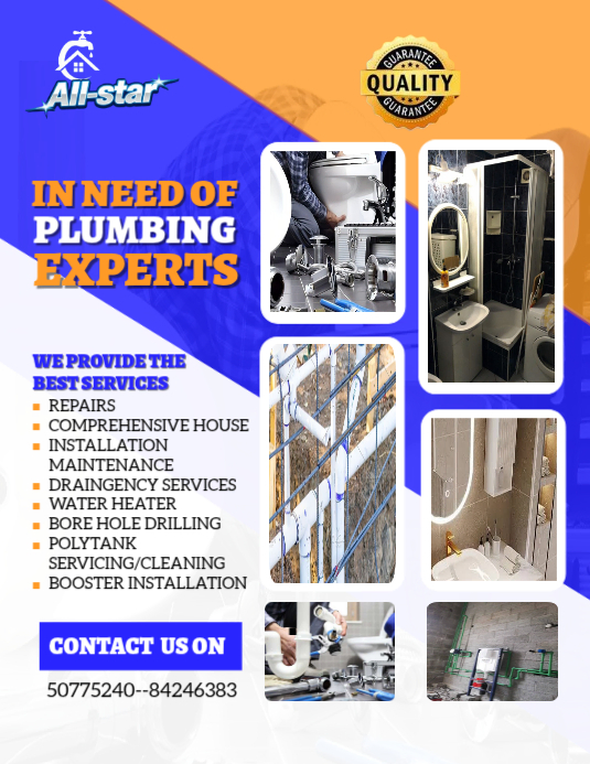 Professional plumbing services flyer Template | PosterMyWall