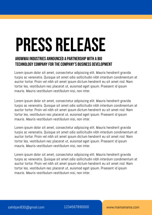 Plantilla de Professional Press Release A4 | PosterMyWall