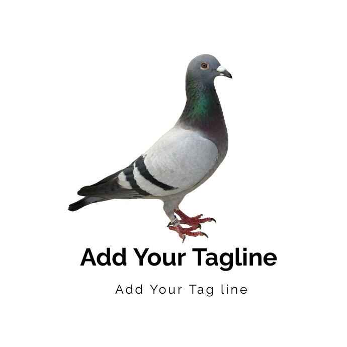 Professional Racing Pigeon Logo Template | PosterMyWall