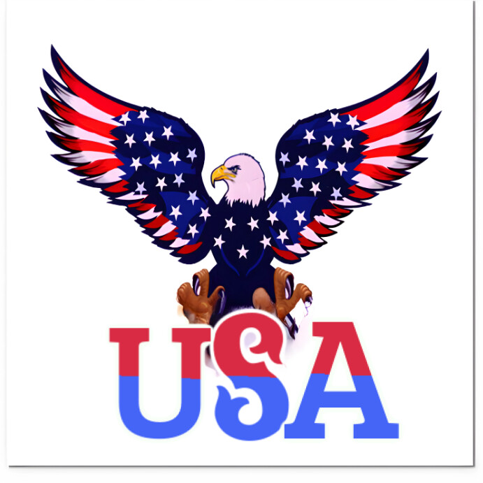Professional Red And Blue White Usa Logo Temp Template | PosterMyWall
