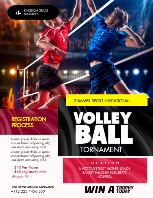 Professional Volleyball Posters, Volleyball Flyers, Volleyball Team ...