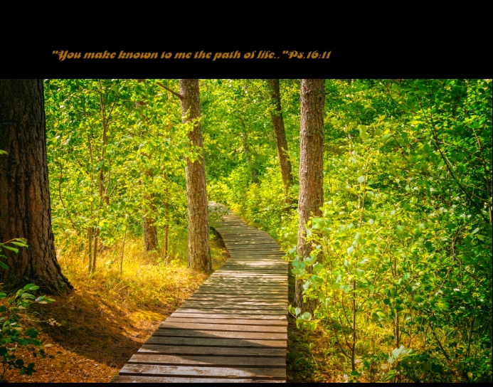 Psalms 16:11 Template | PosterMyWall