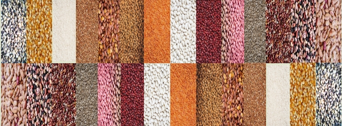 Pulses Cover Template | PosterMyWall