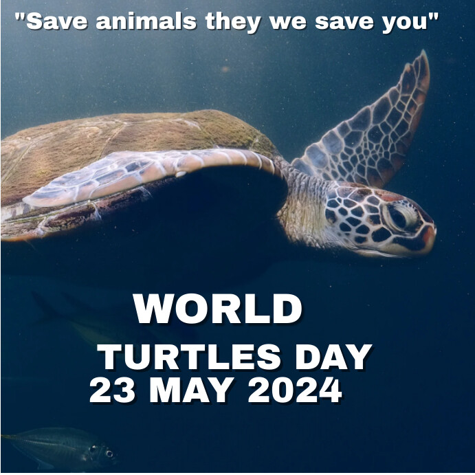 Purple Maximalist World Turtle Day Instagram Template | PosterMyWall