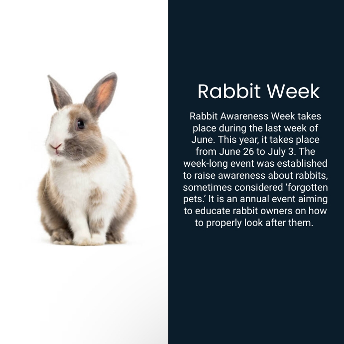 rabbit week Template | PosterMyWall