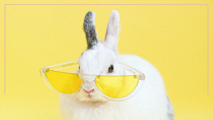 Copy of Rabbit zoom meeting background | PosterMyWall