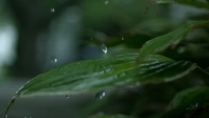 rain weather Template | PosterMyWall