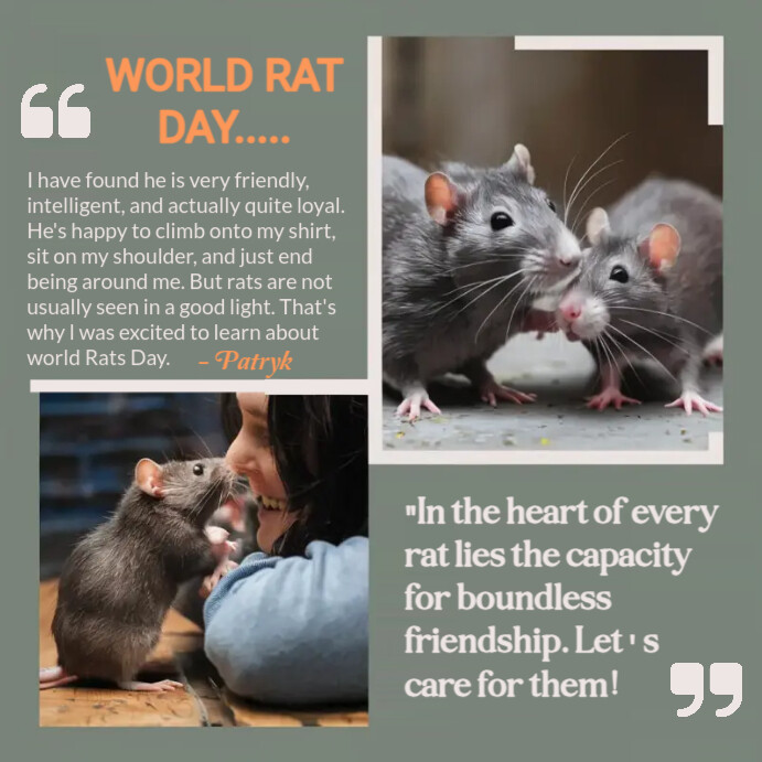 Plantilla de Rat advocacy template | PosterMyWall