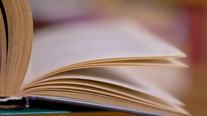 Read the books Template | PosterMyWall