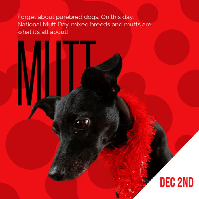 Copy of Red 3d National Mutt Day Instagram Post | PosterMyWall