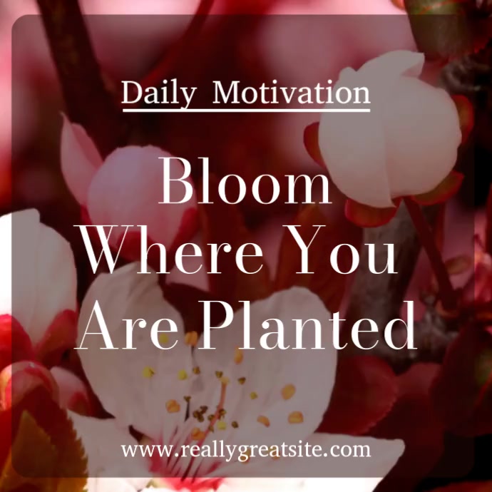 Red and White Simple Quotes Facebook Post Template | PosterMyWall