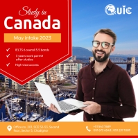 Yellow Canada Immigration Instagram Post Template | PosterMyWall