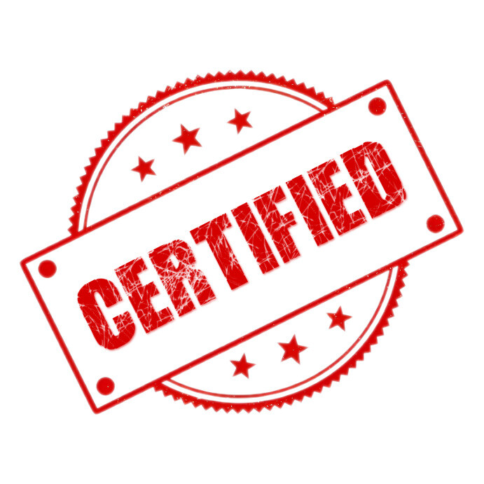 Copy of Red Illustrative Certification Stamp Template Instagram Post ...