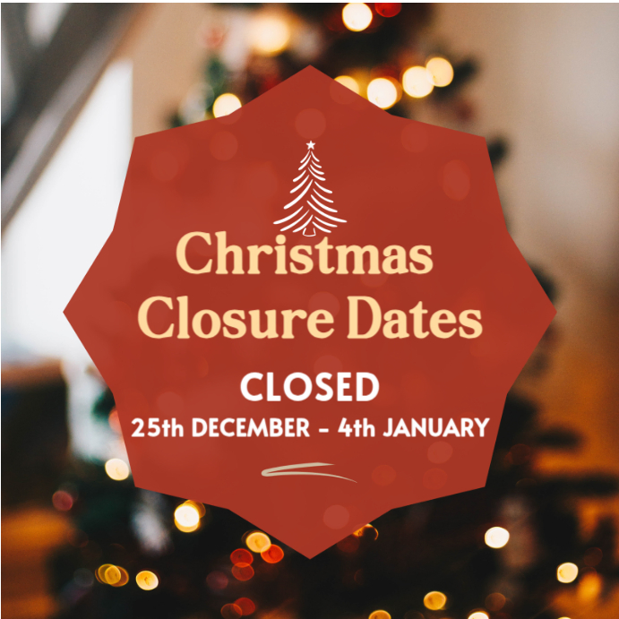 Copy of Red Maximalist Christmas Closure Dates Instagram Post ...