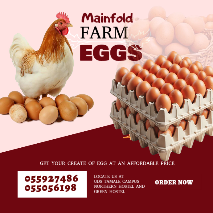 Red Maximalist Mainfold Farm Eggs Instagram Post Template | PosterMyWall