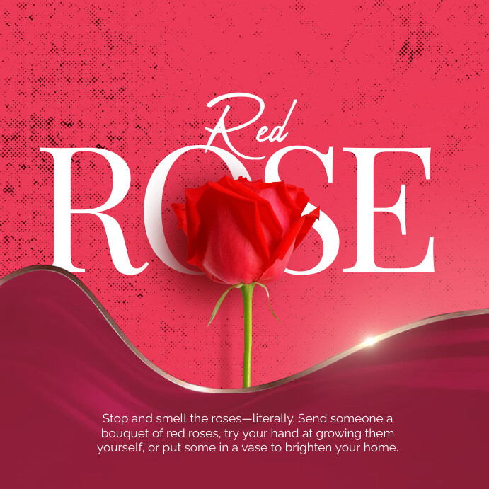 Red Modern & Minimal Red Rose Day Instagram Template | PosterMyWall