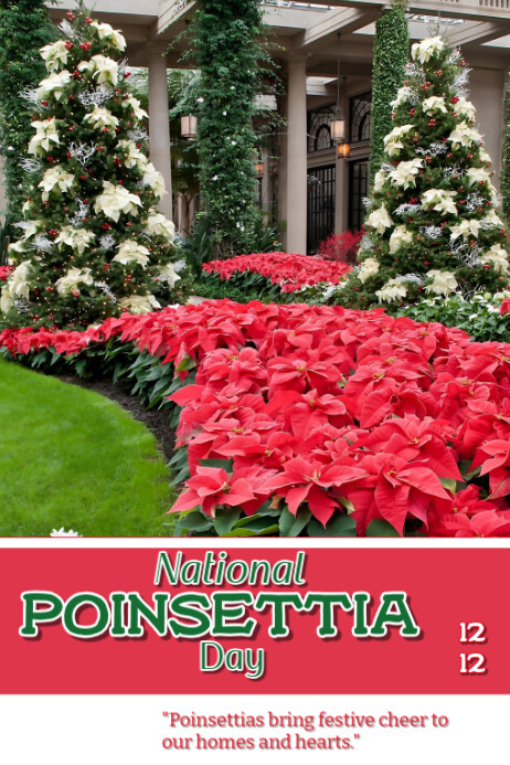 Red National Poinsettia Day Poster Template | PosterMyWall