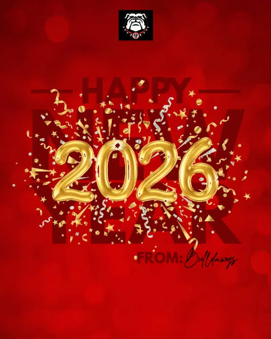 Plantilla de Red Professional Happy New Year Instagram Portrait ...